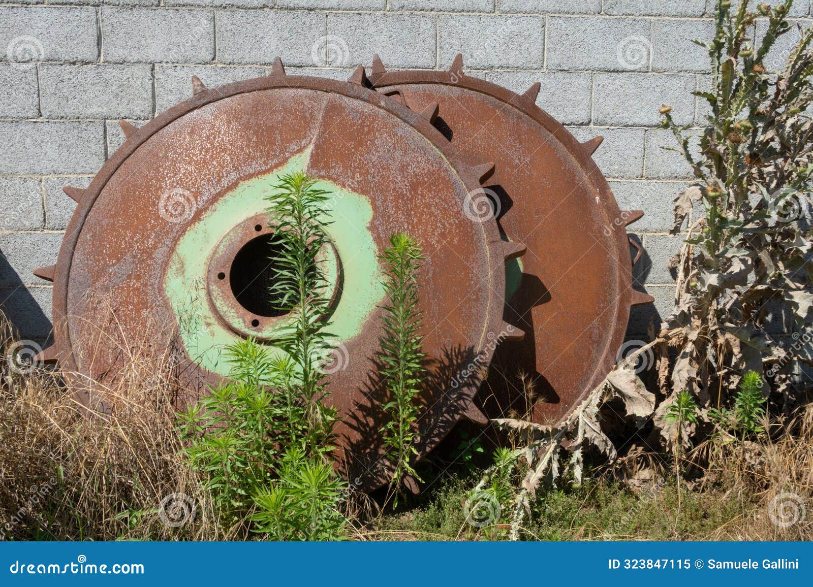 Wheels Tractor Rice Paddy Field Detail Stock Image - Image of view ...