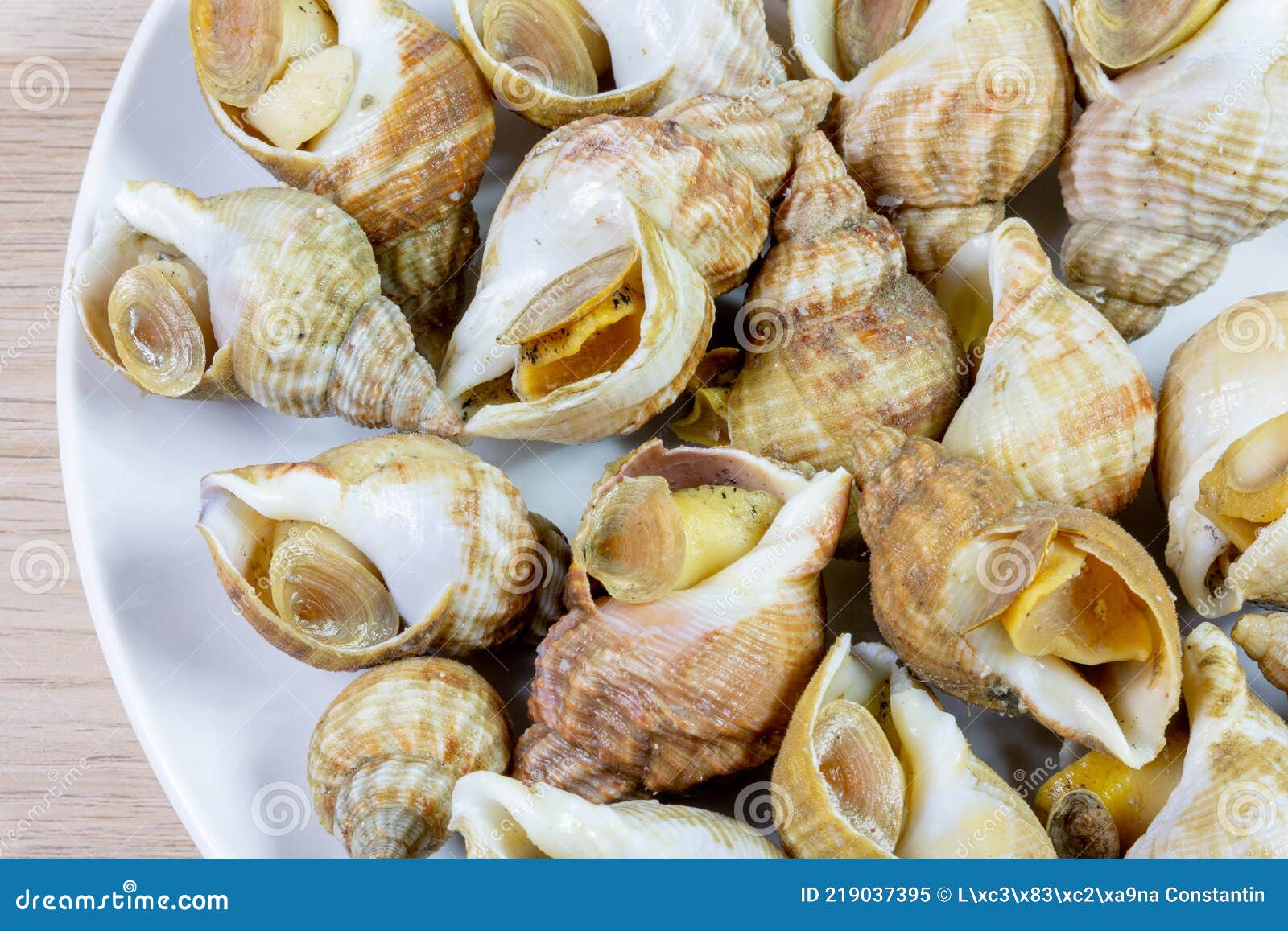 Whelks close-up stock image. Image of ocean, delicious - 219037395