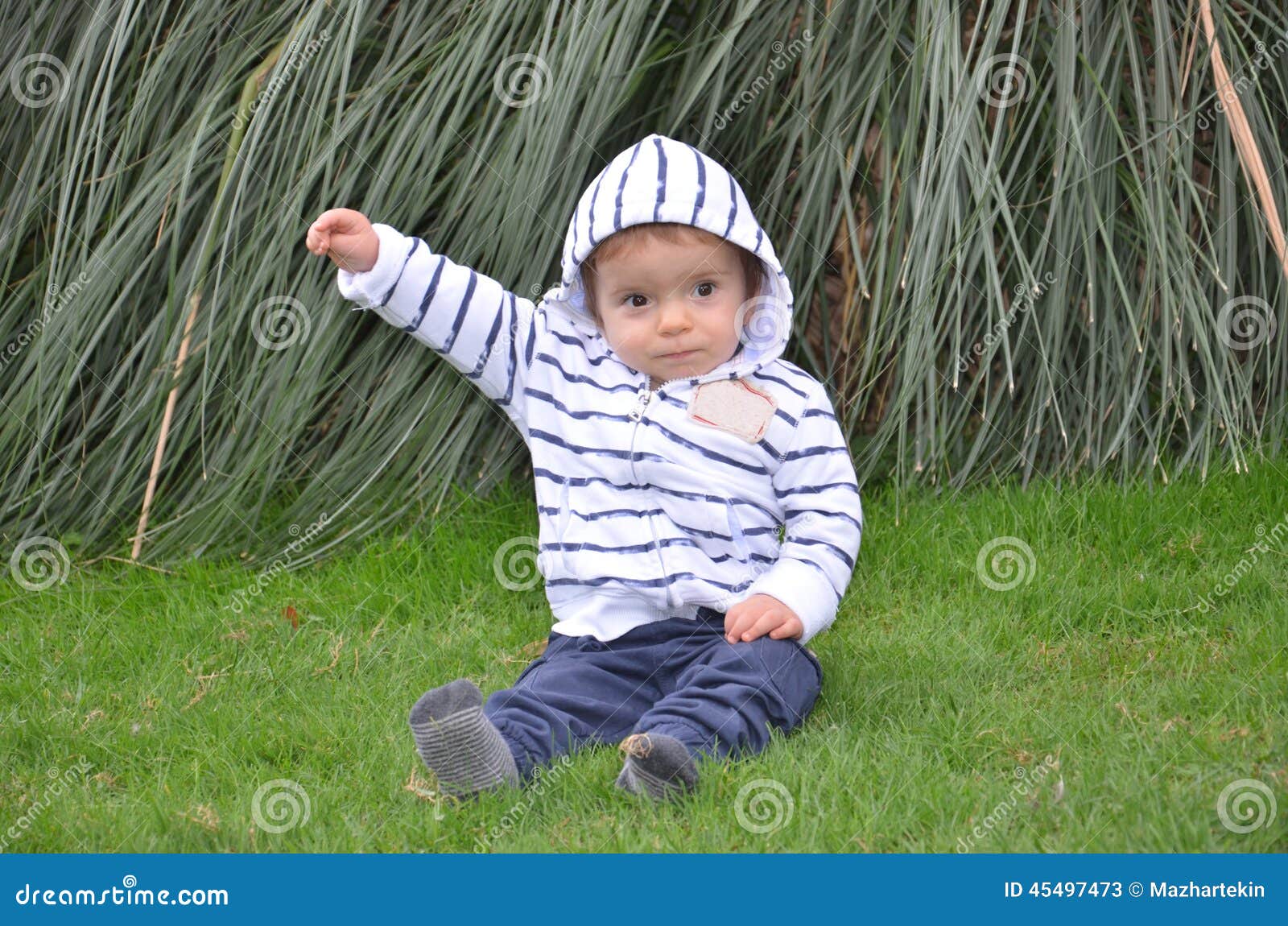 Where does this baby stock image. Image of clear, nature - 45497473