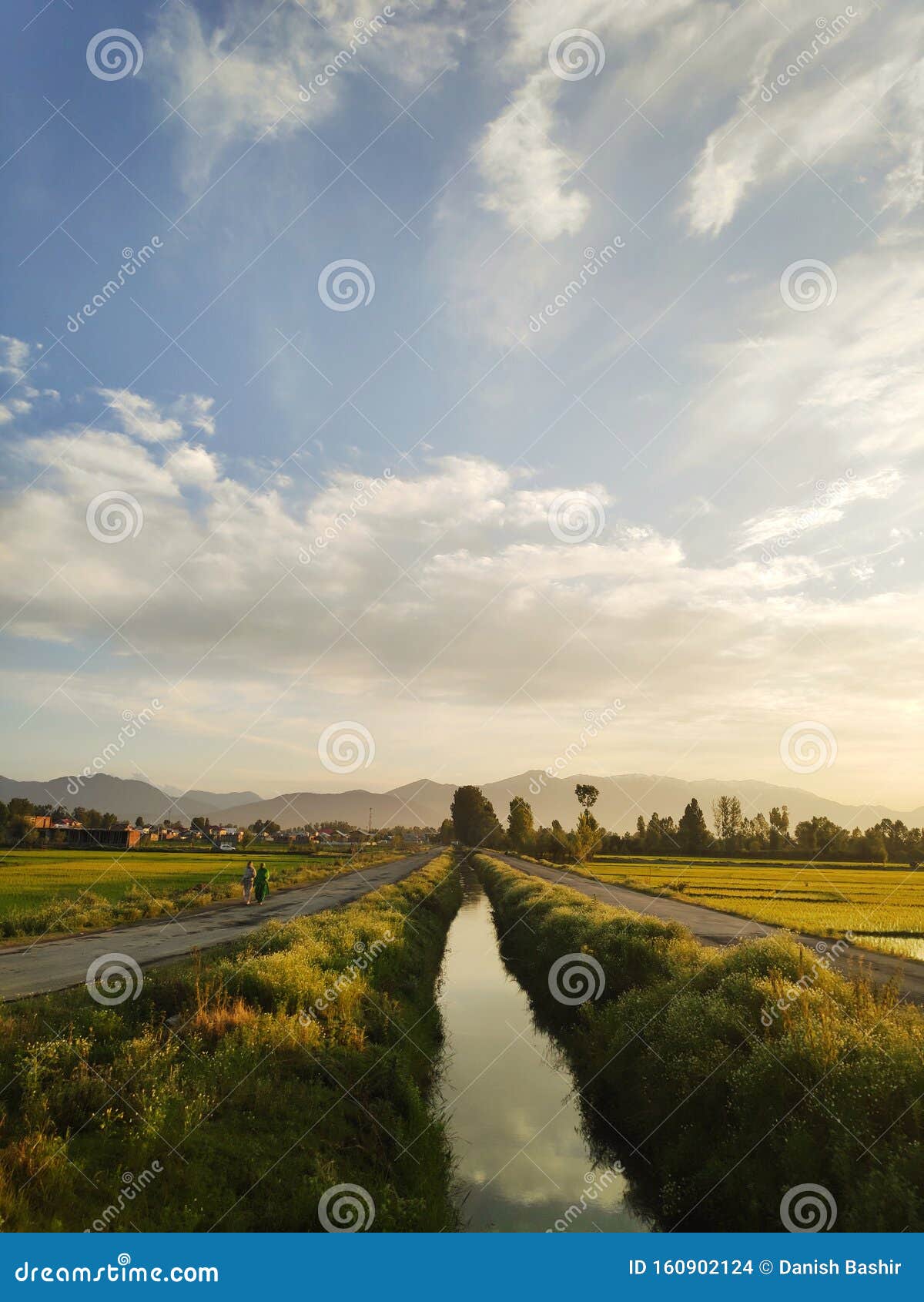 Where the fields split stock photo. Image of processed - 160902124