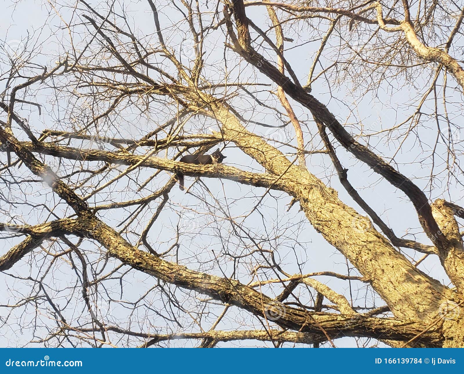 Stucknin Stock Photos - Free & Royalty-Free Stock Photos from Dreamstime