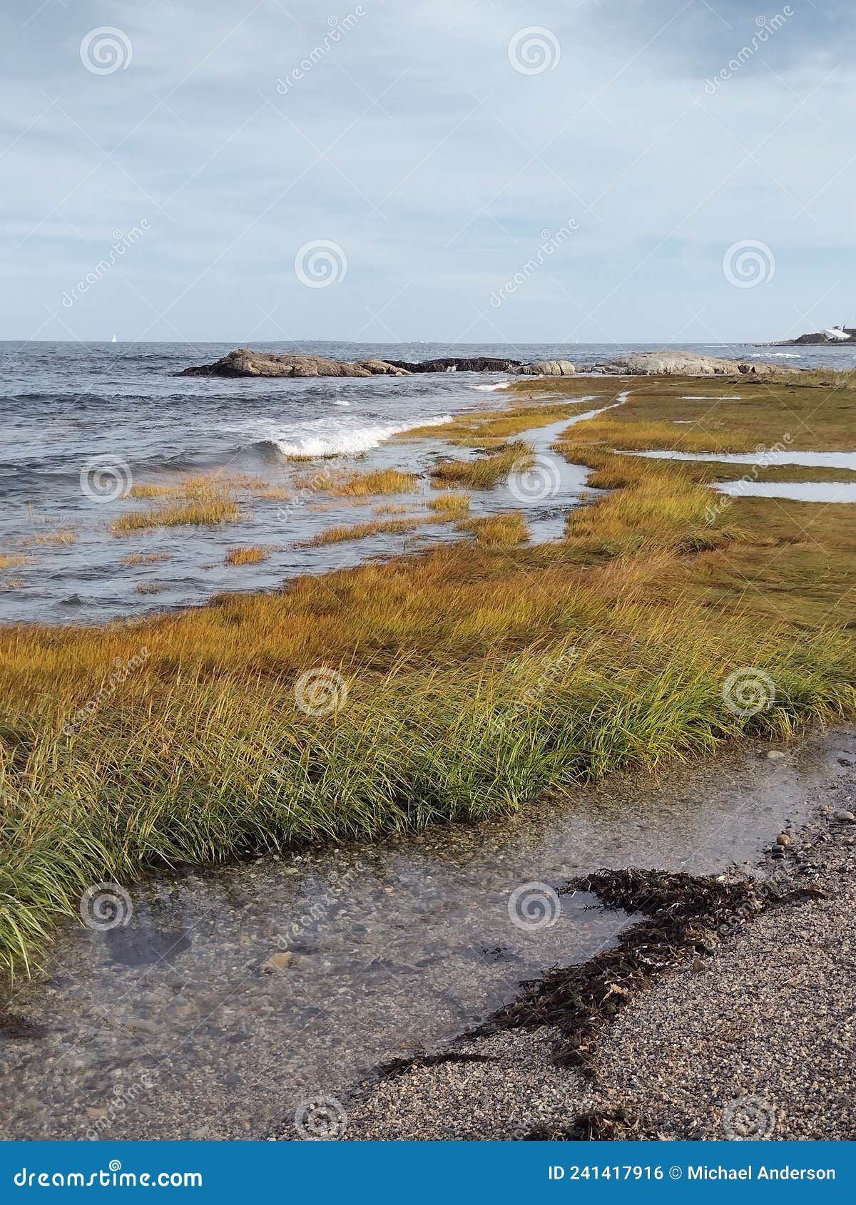 Where the Marsh and Ocean Meet Stock Photo - Image of meet, water ...