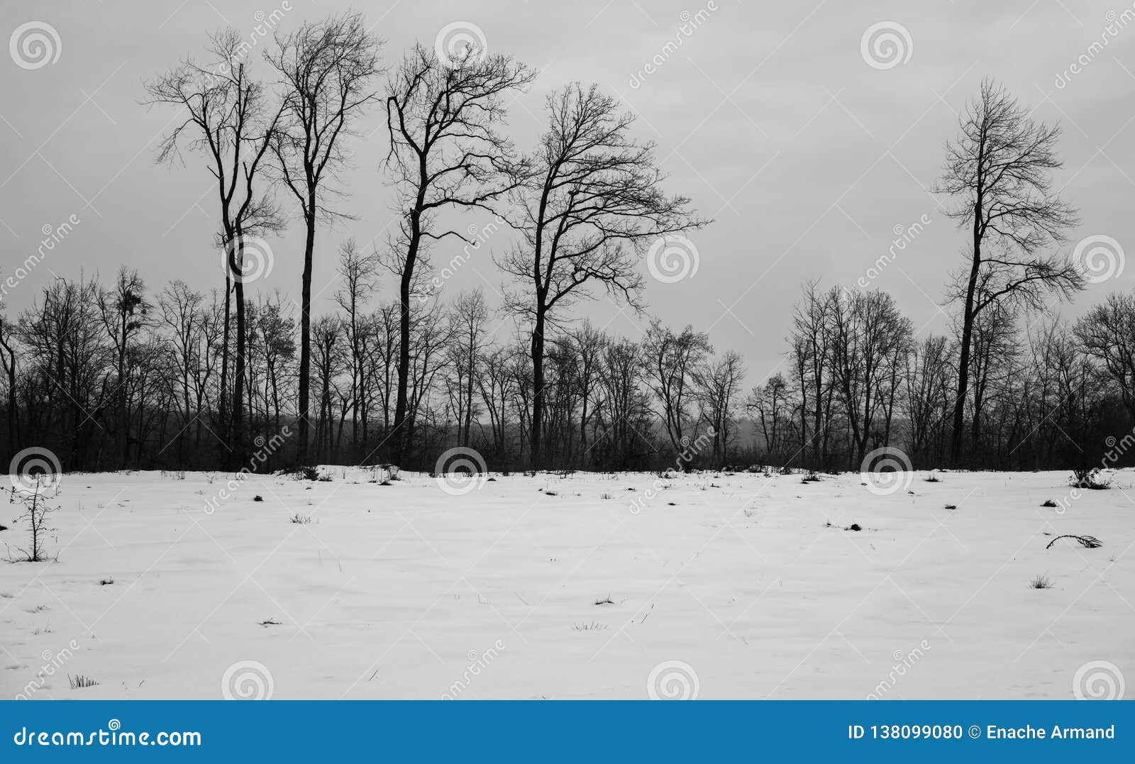 Where is Spring? stock photo. Image of spring, country - 138099080