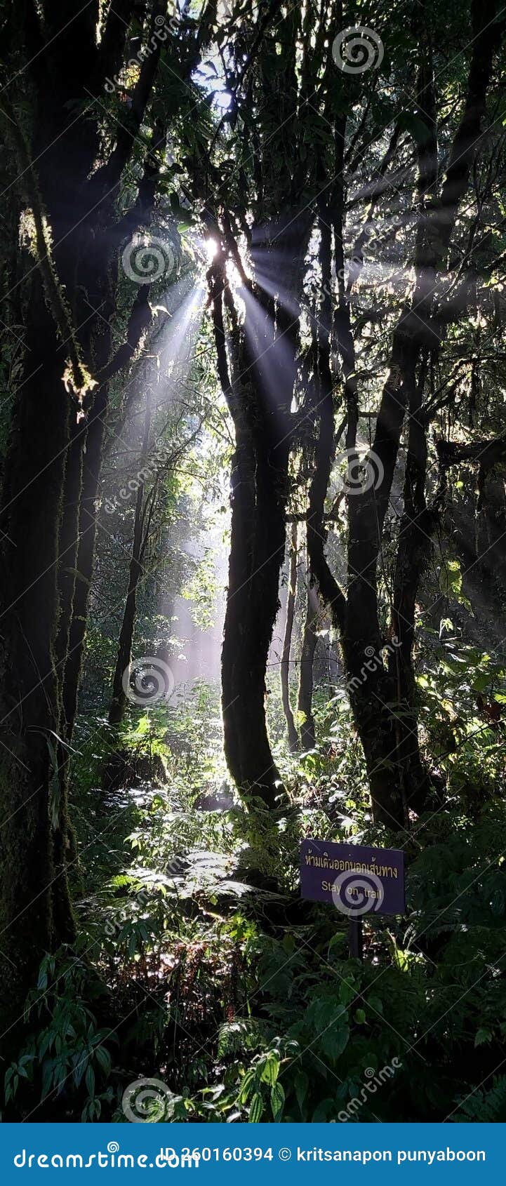 Where There is Light and Shadow of Nature is Great. Stock Photo - Image ...