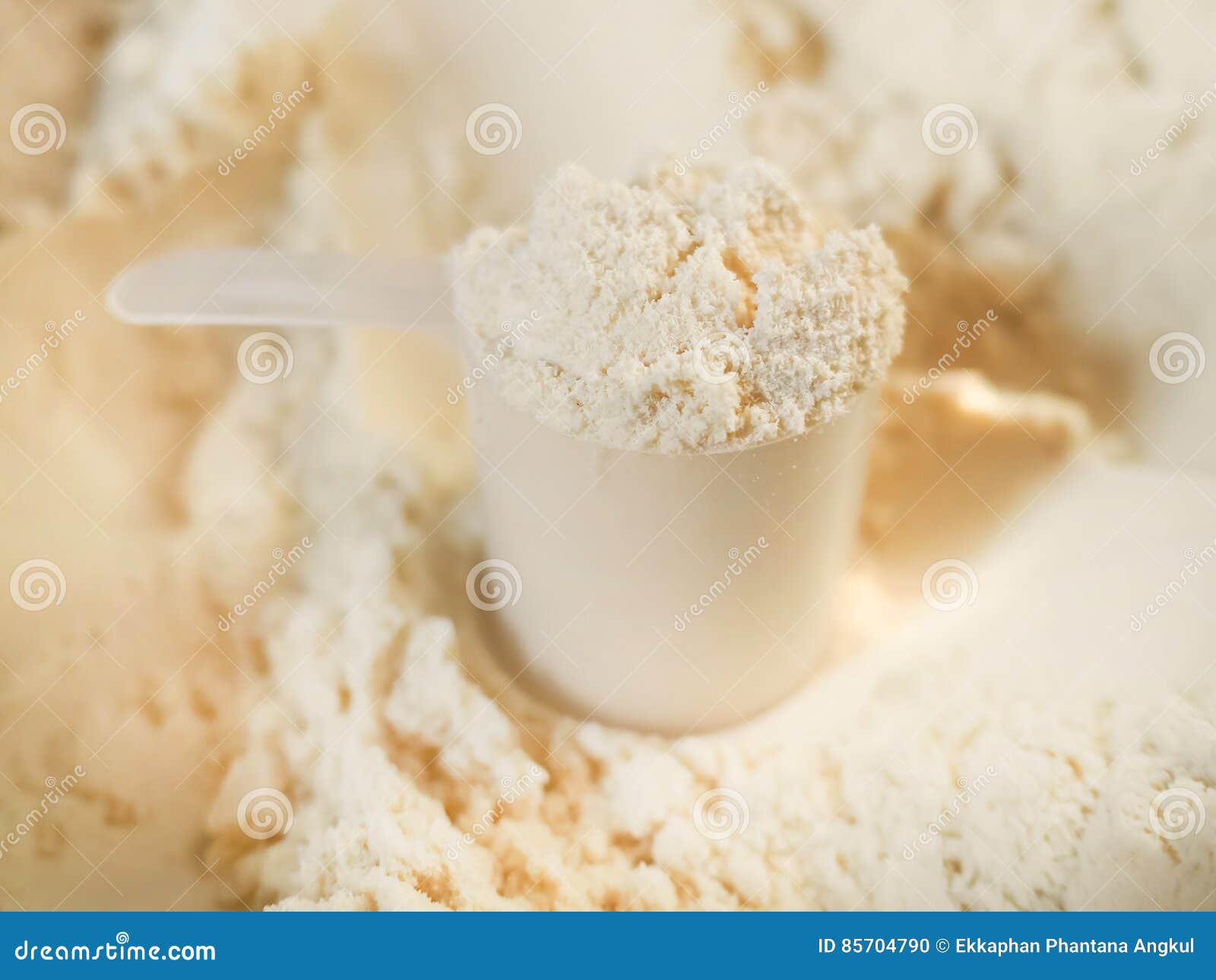Whey protein powder stock photo. Image of nutritional - 85704790