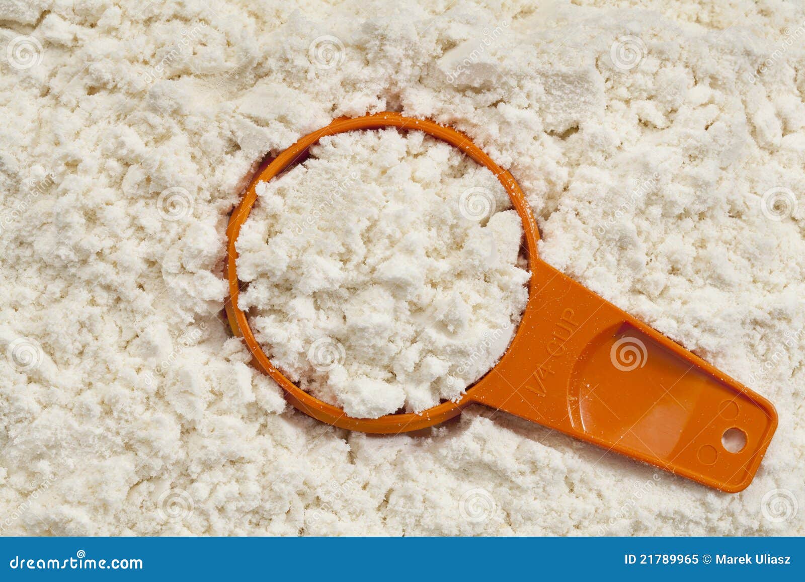 Whey protein powder scoop stock image. Image of nutritional - 21789965