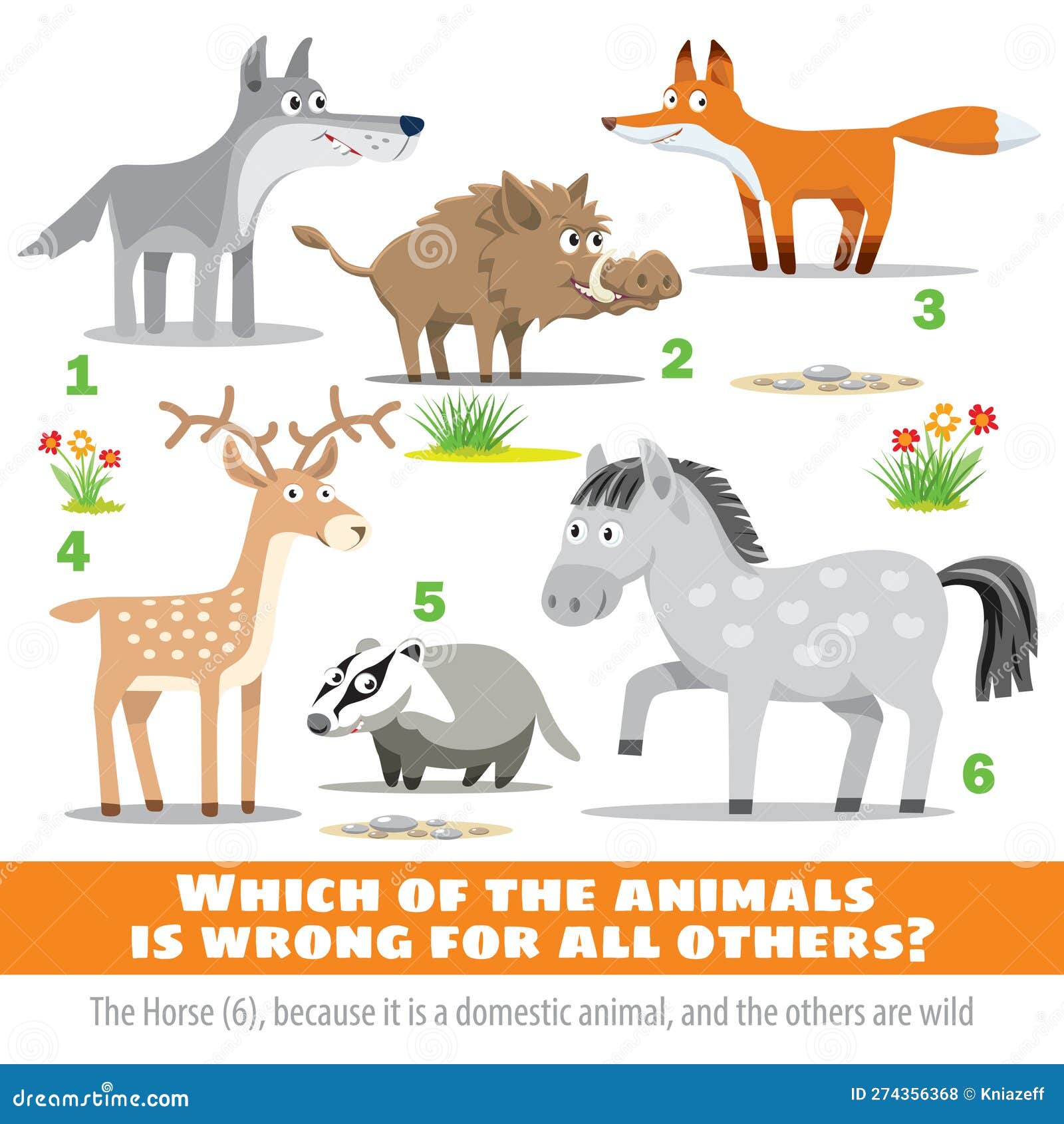 Which of the Animals is Wrong for All the Others. Exercise for Mind ...