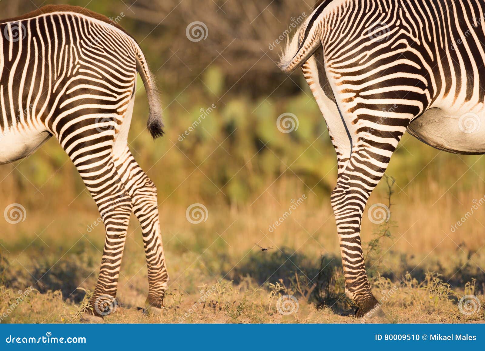 Which end is up stock photo. Image of funny, laughing - 80009510