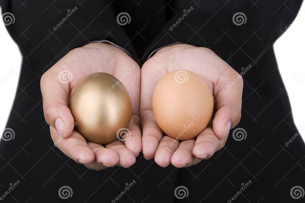 Which one will you choose? stock image. Image of palm - 6329063