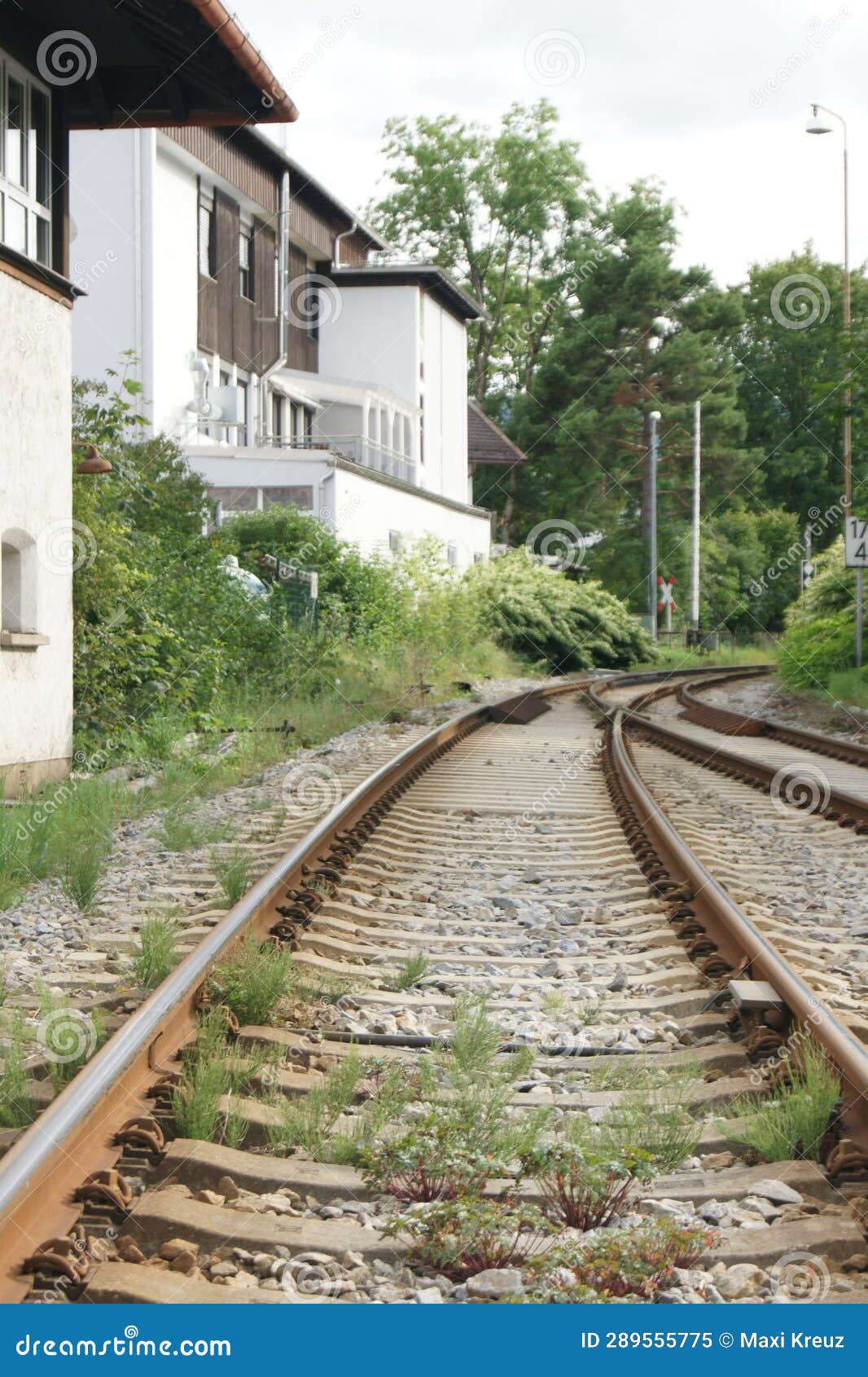 Which path to choose? stock image. Image of urban, choose - 289555775