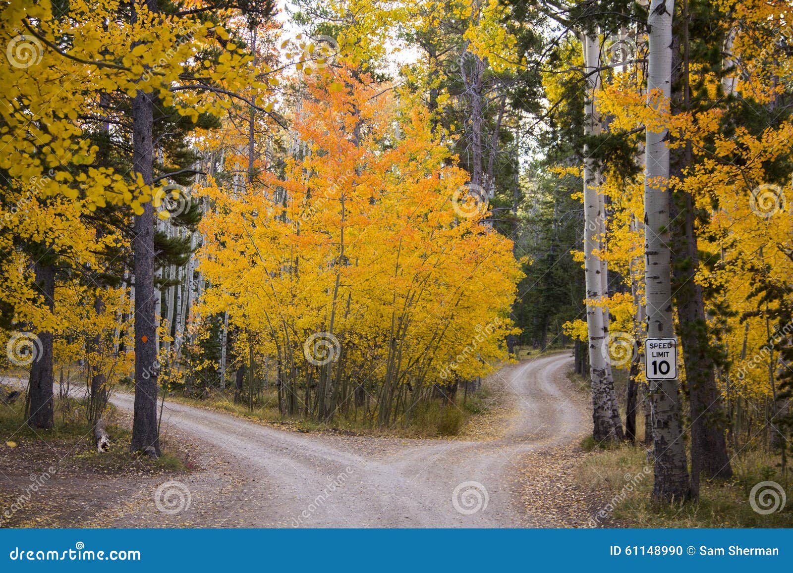 Fork Of A Path In A Two-color Field. Two Roads To The Right And Left To ...