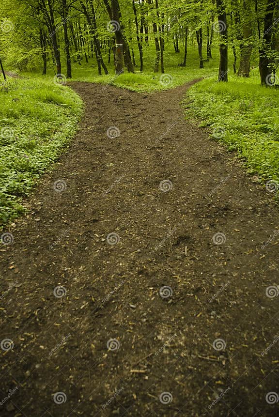 Which way? stock image. Image of option, choose, landscape - 5077503