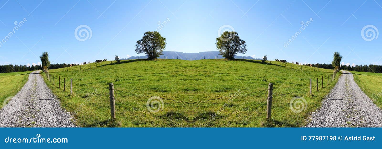 Which way should we go? stock photo. Image of alternative - 77987198