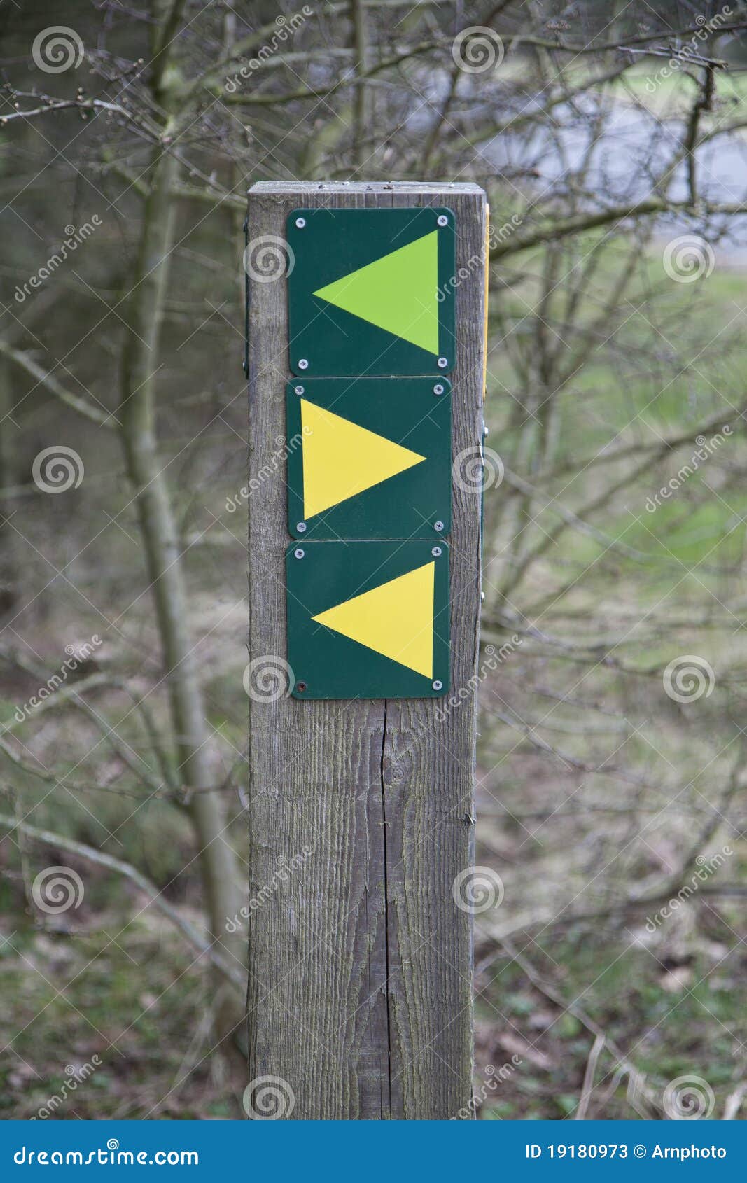 Which Way To Go? stock image. Image of path, wood, hiking - 19180973
