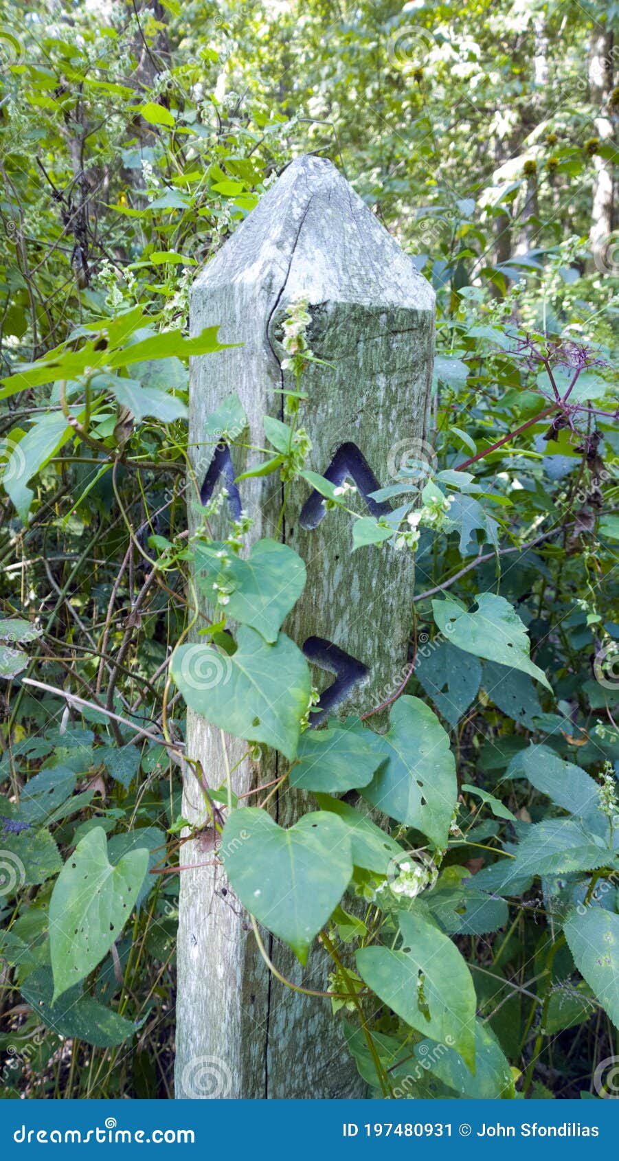 Wooden trail marker stock image. Image of paths, trail - 197480931