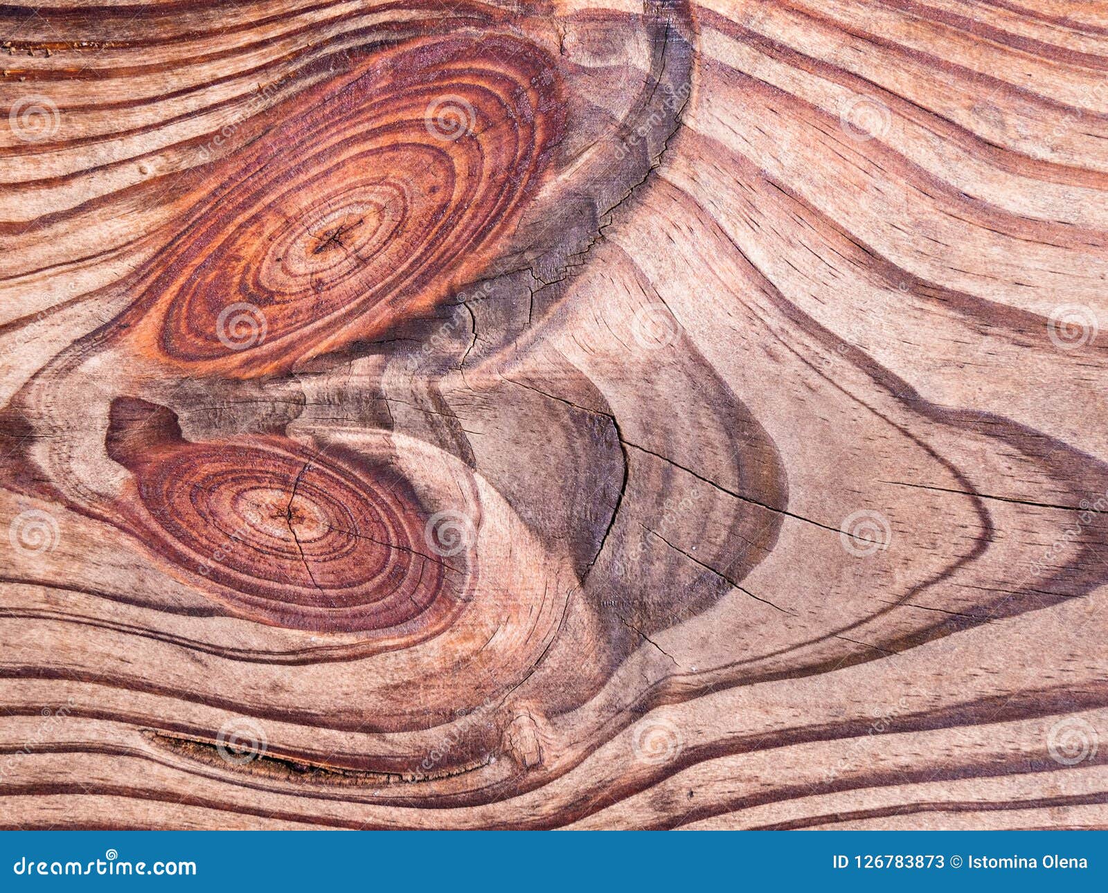 A Whimsical Pattern on the Cutting of Wood. Abstract Wooden Back Stock ...
