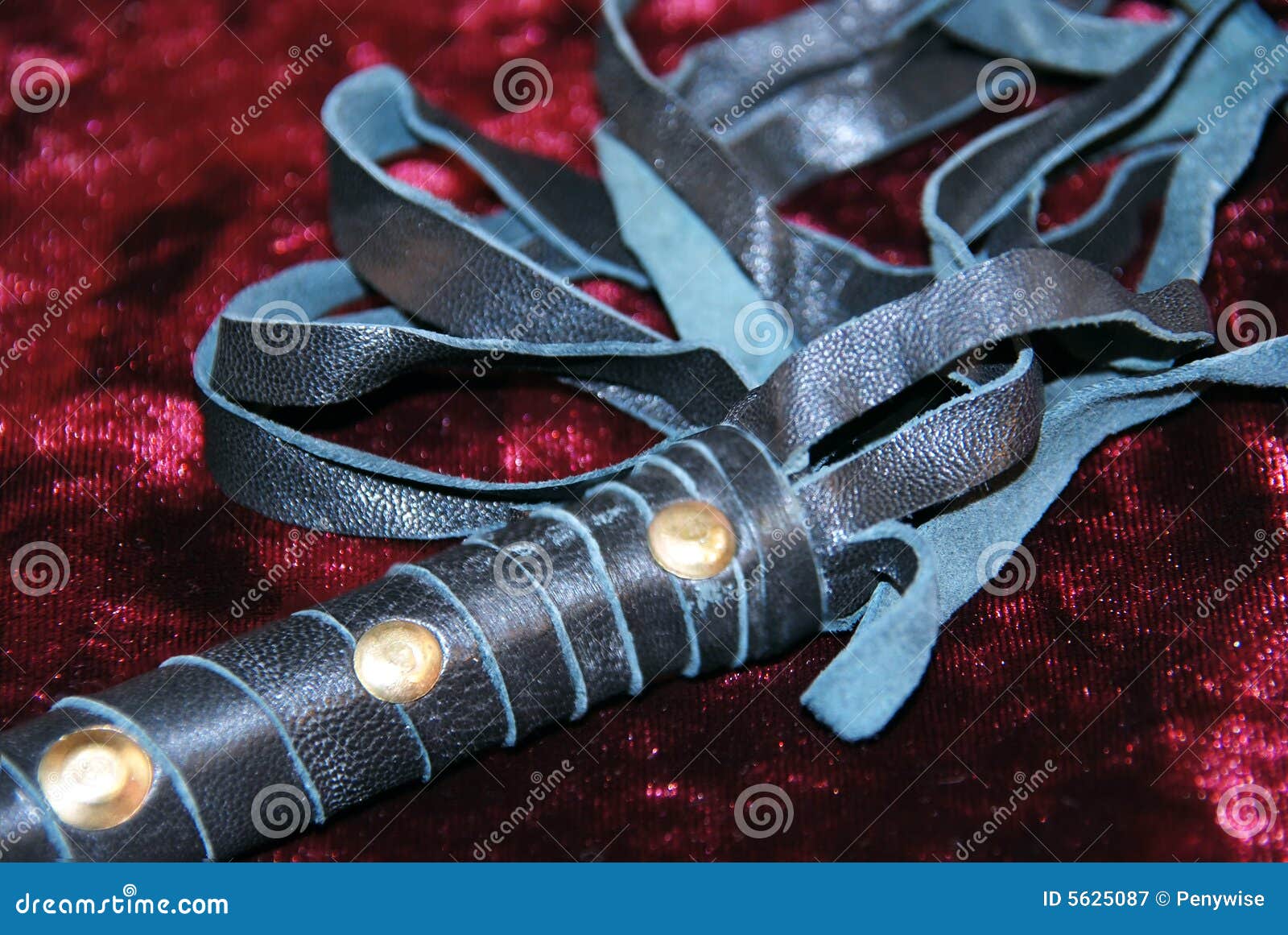 Whip stock image. Image of strap, whip, tail, master, pursuade - 5625087
