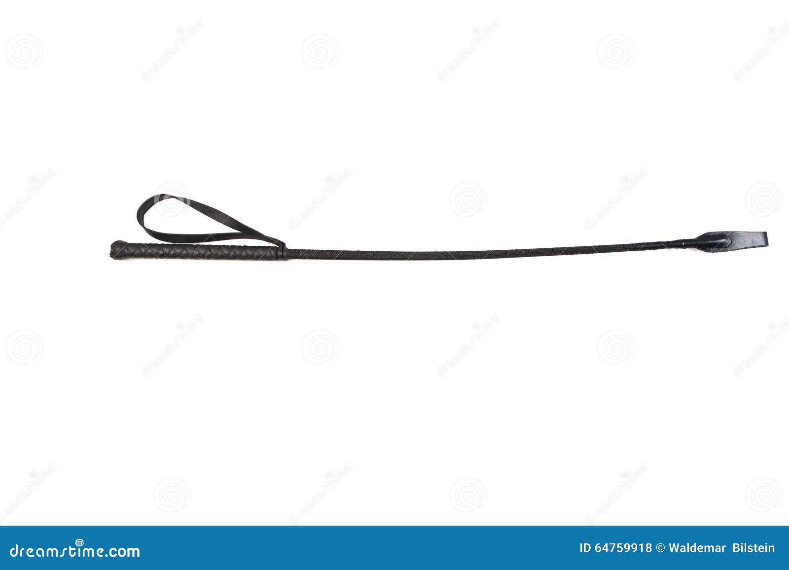 Whip stock photo. Image of punish, dominant, chastise - 64759918