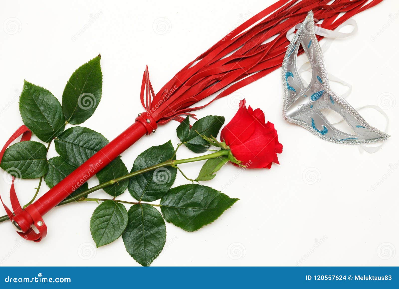 Whip and a rose stock photo. Image of satisfaction, mistress - 120557624