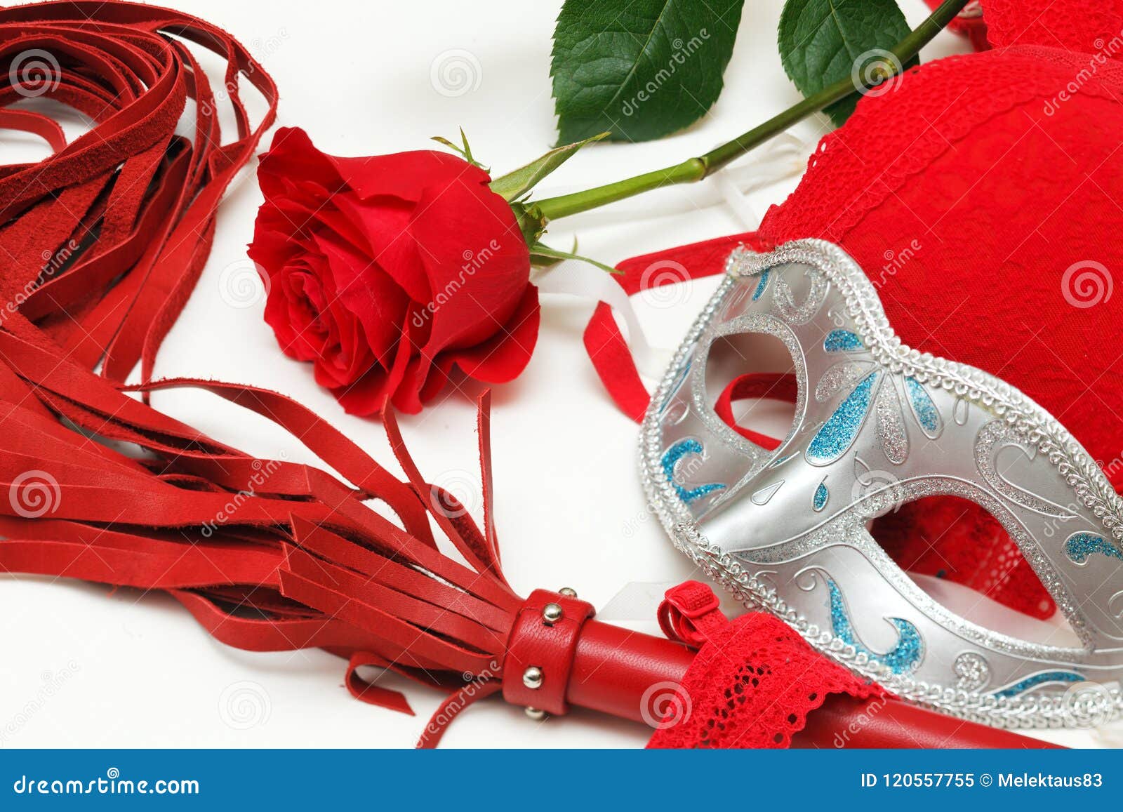 Whip and a rose stock image. Image of equipment, bizarre - 120557755