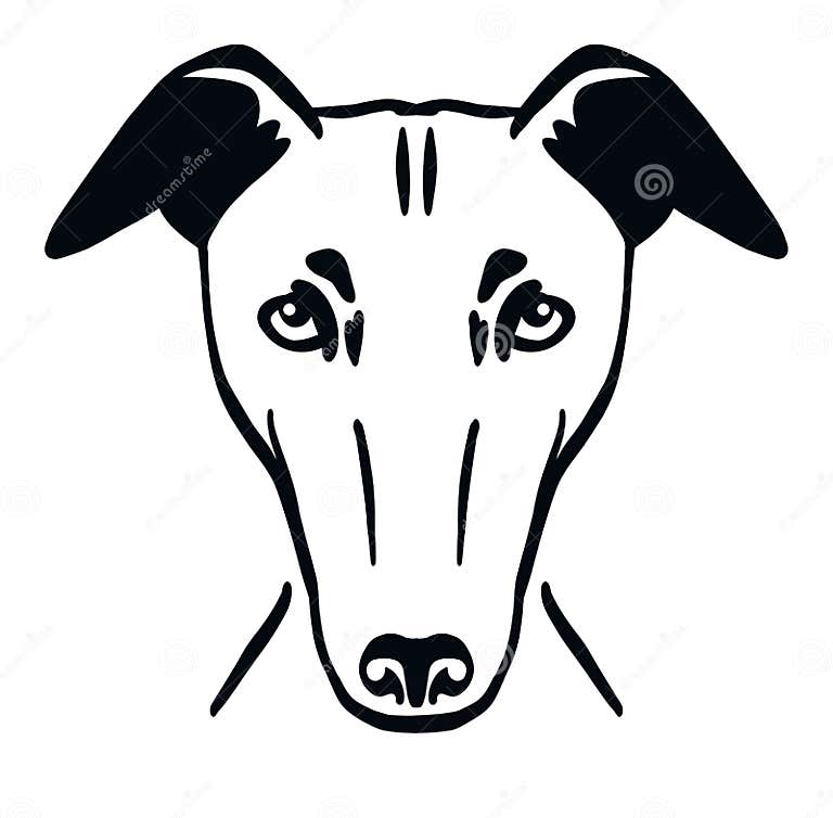 Whippet Head Black and White Stock Vector - Illustration of animal ...