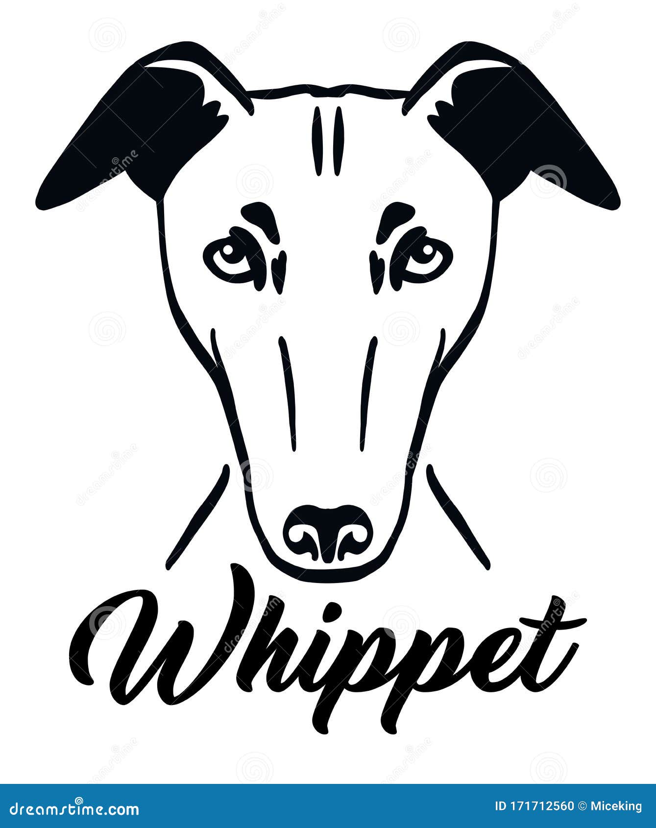 Whippet Head Black And White Vector Illustration | CartoonDealer.com ...