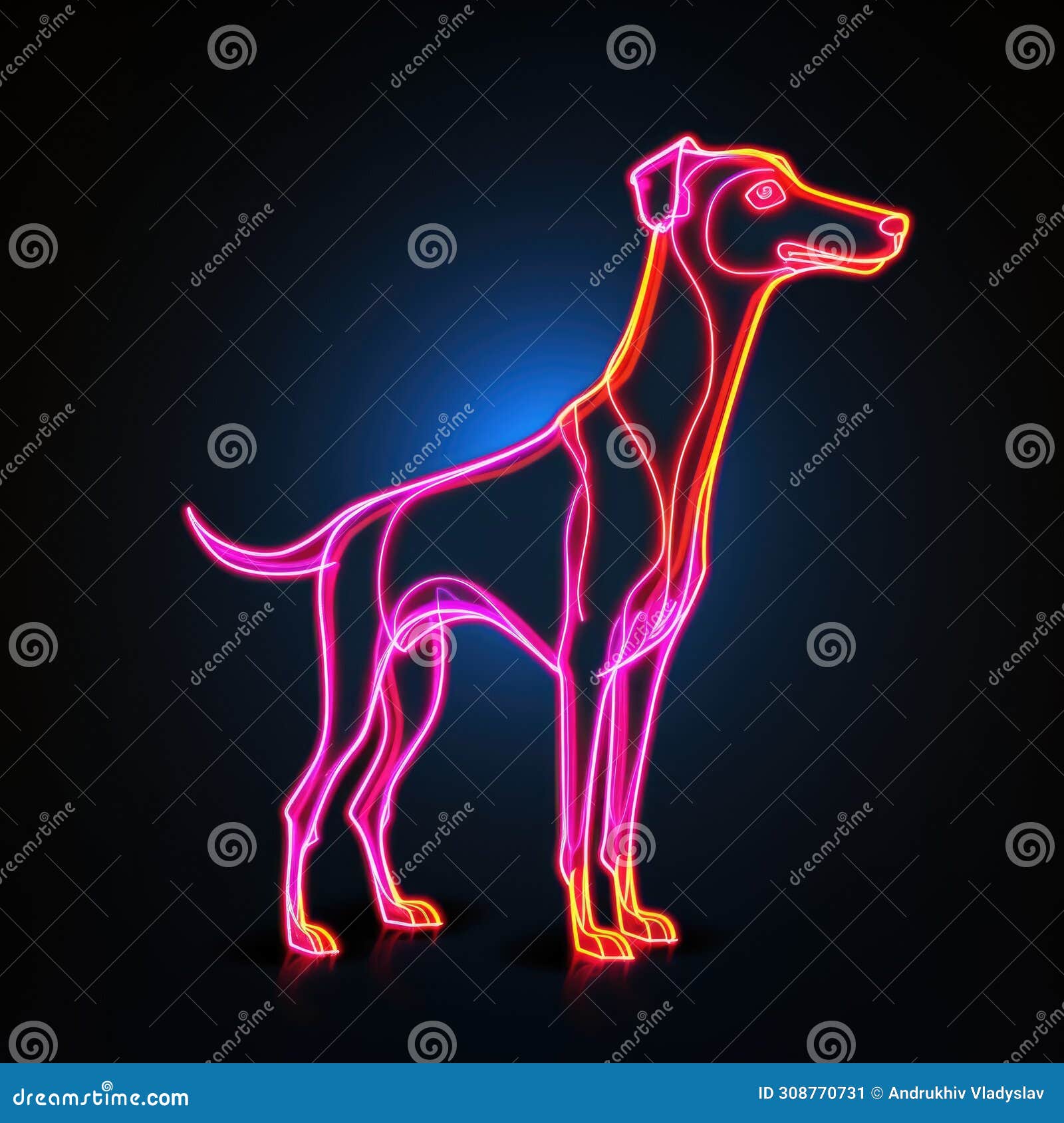 Whippet. Neon Outline Icon with a Light Effect Stock Illustration ...