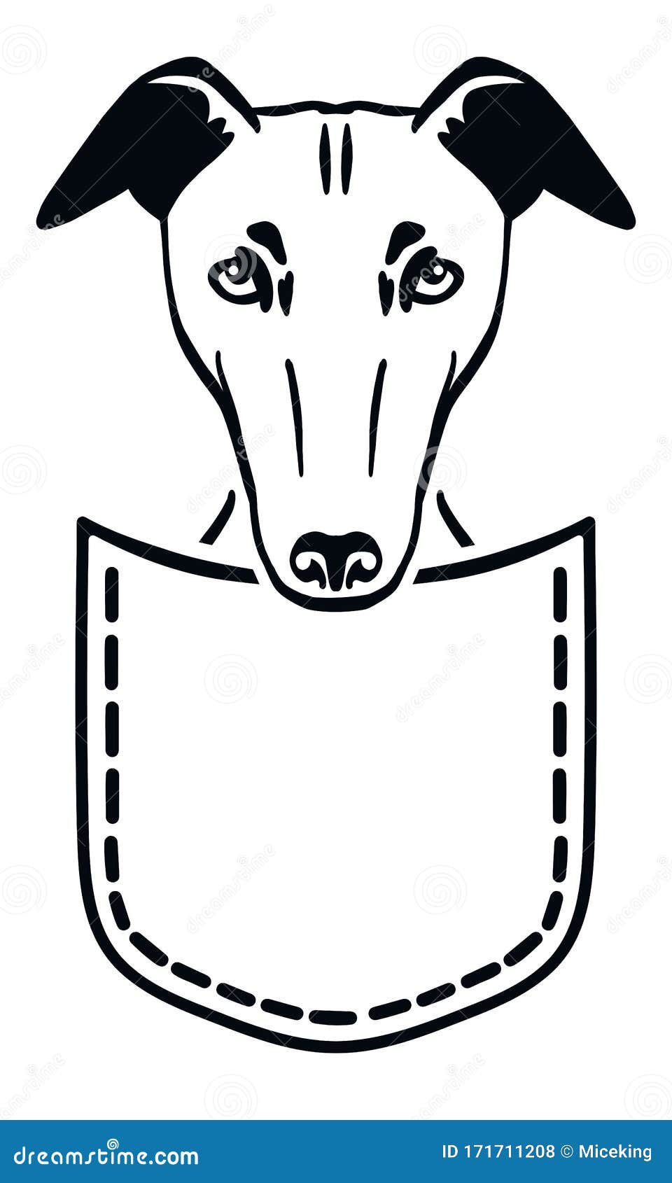 Whippet in a pocket stock vector. Illustration of whippet - 171711208