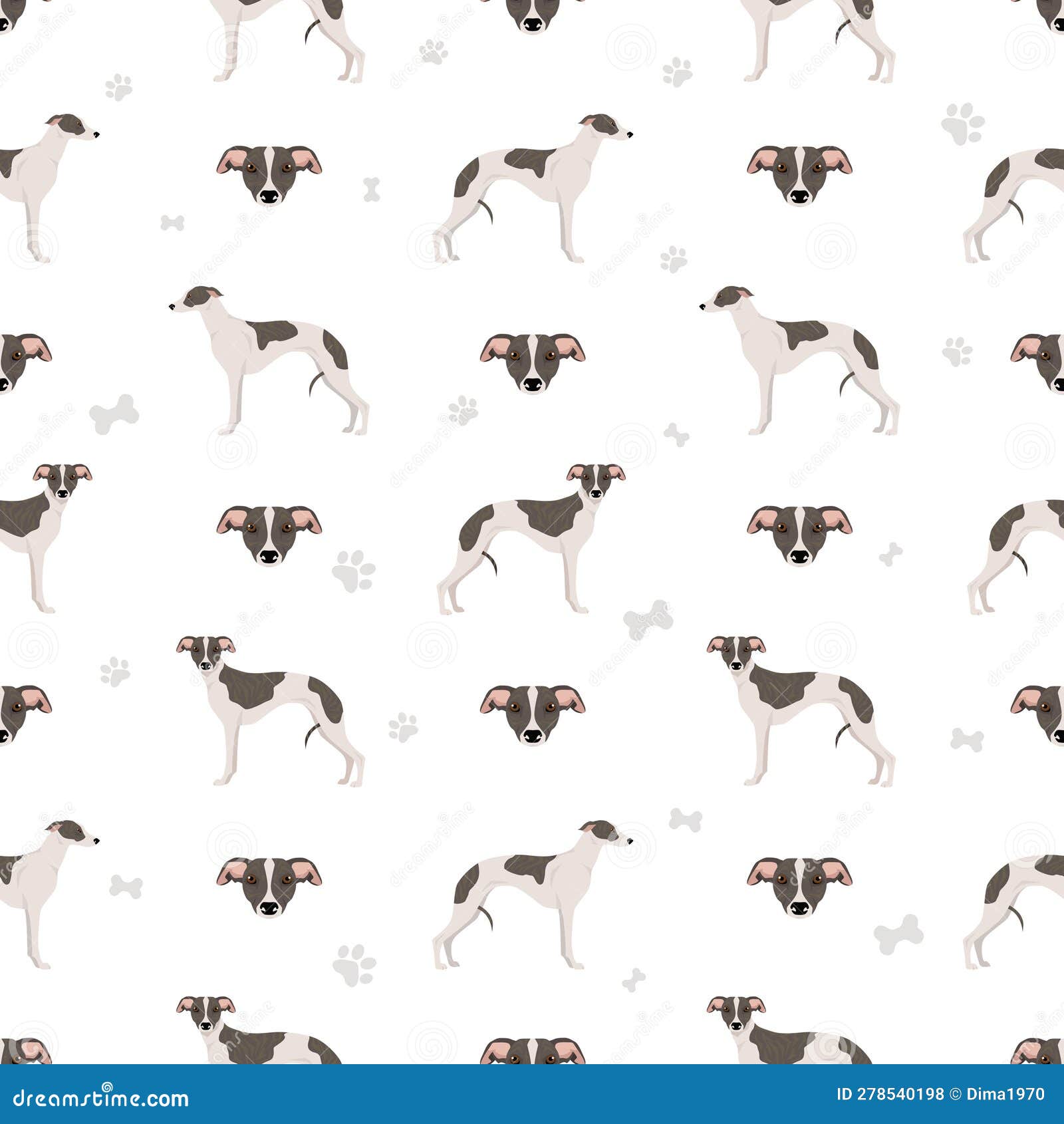 Whippet Seamless Pattern. Different Poses, Coat Colors Set Stock Vector ...