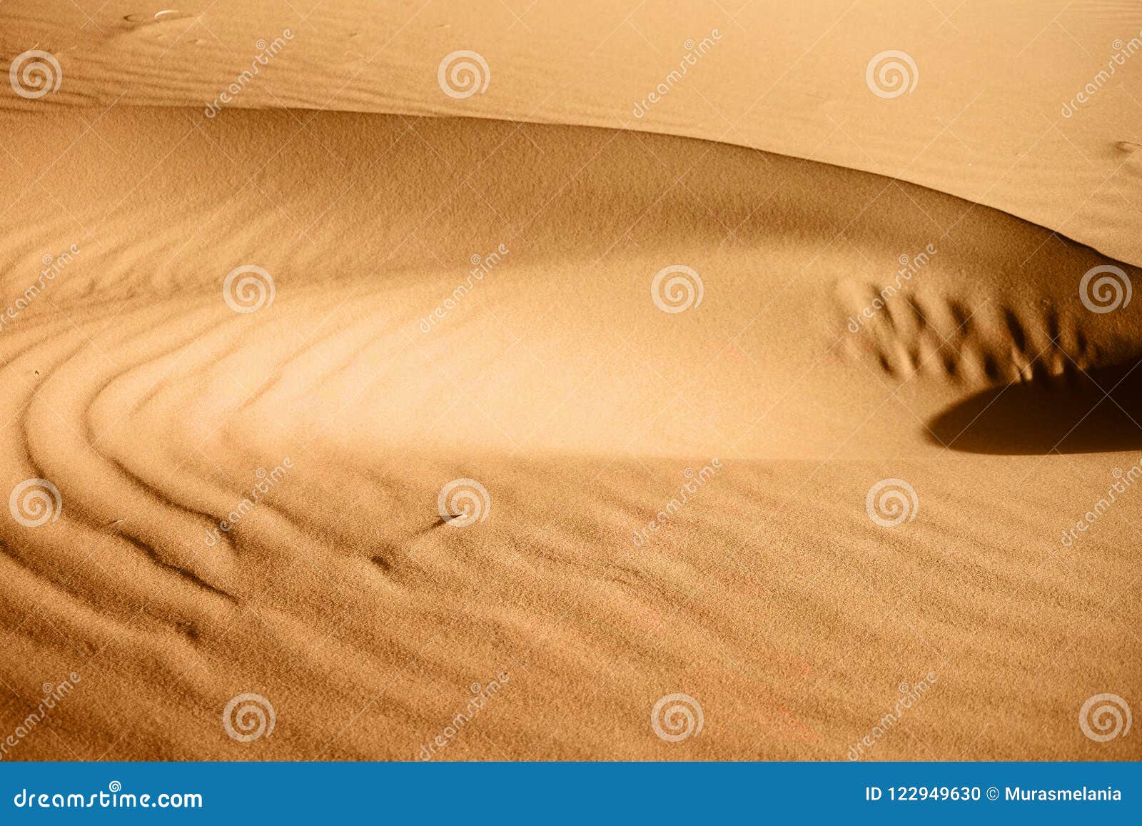 Whirl Shape, Textures and Patterns on the Sand on the Sahara Desert ...