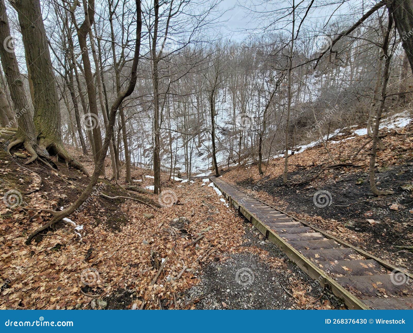 Whirlpool Trail in Winter in Niagara Falls, Canada. Stock Photo - Image ...