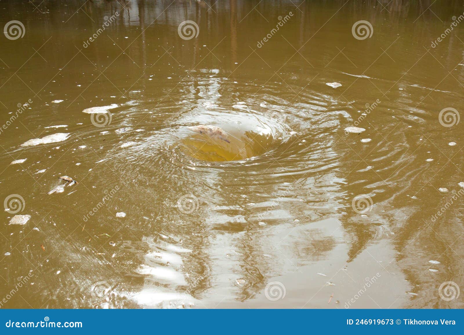 Whirlpool in water surface stock image. Image of chaos - 246919673