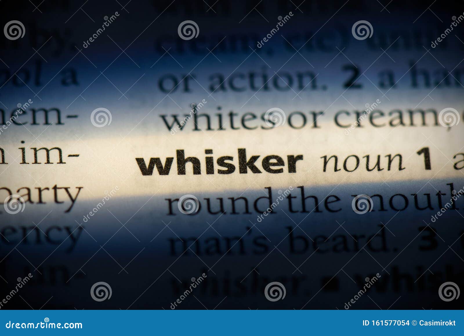 Whisker Stock Photos - Download 80,676 Royalty Free Photos