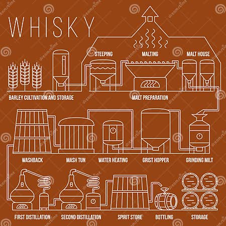 Whiskey Production Process Vector Infographic Template Stock Vector ...