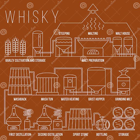 Whiskey Production Process Vector Infographic Template Stock Vector ...