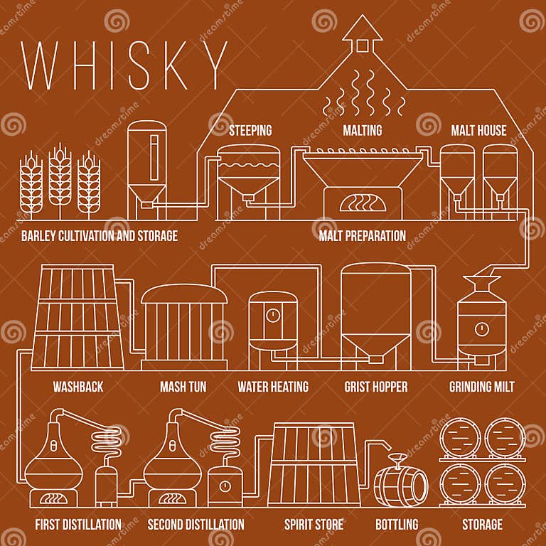 Whiskey Production Process Vector Infographic Template Stock Vector ...