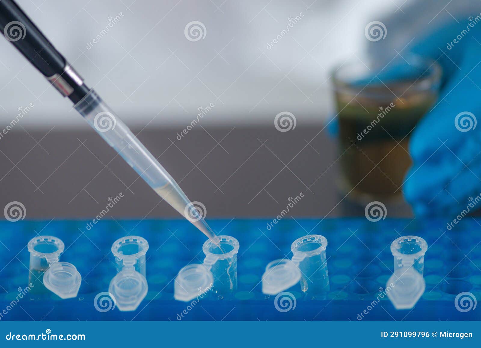 Pudding Quality Control Inspection in Lab Stock Photo - Image of ...