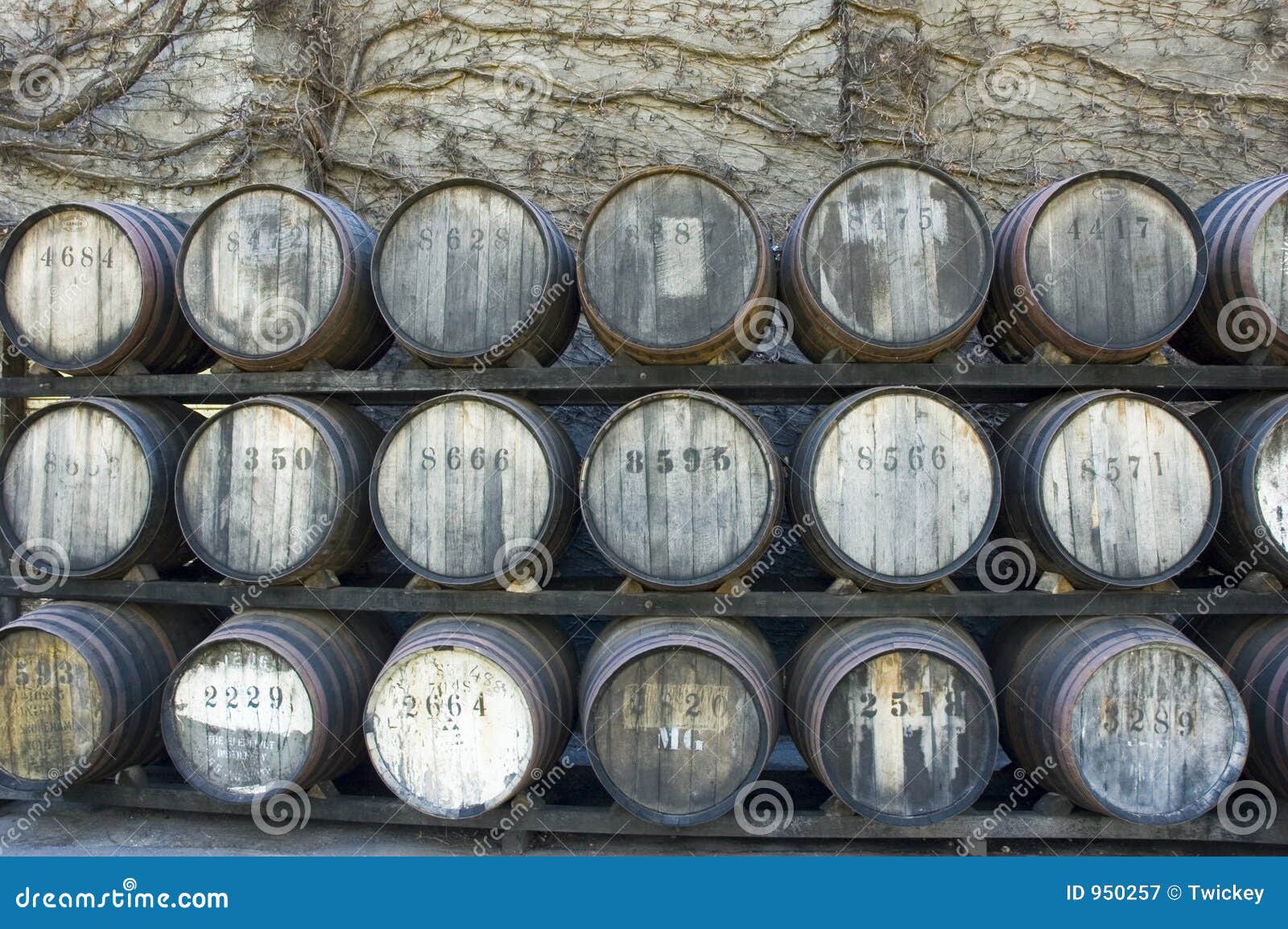Whisky Barrel Stack stock image. Image of ferment, moon - 950257