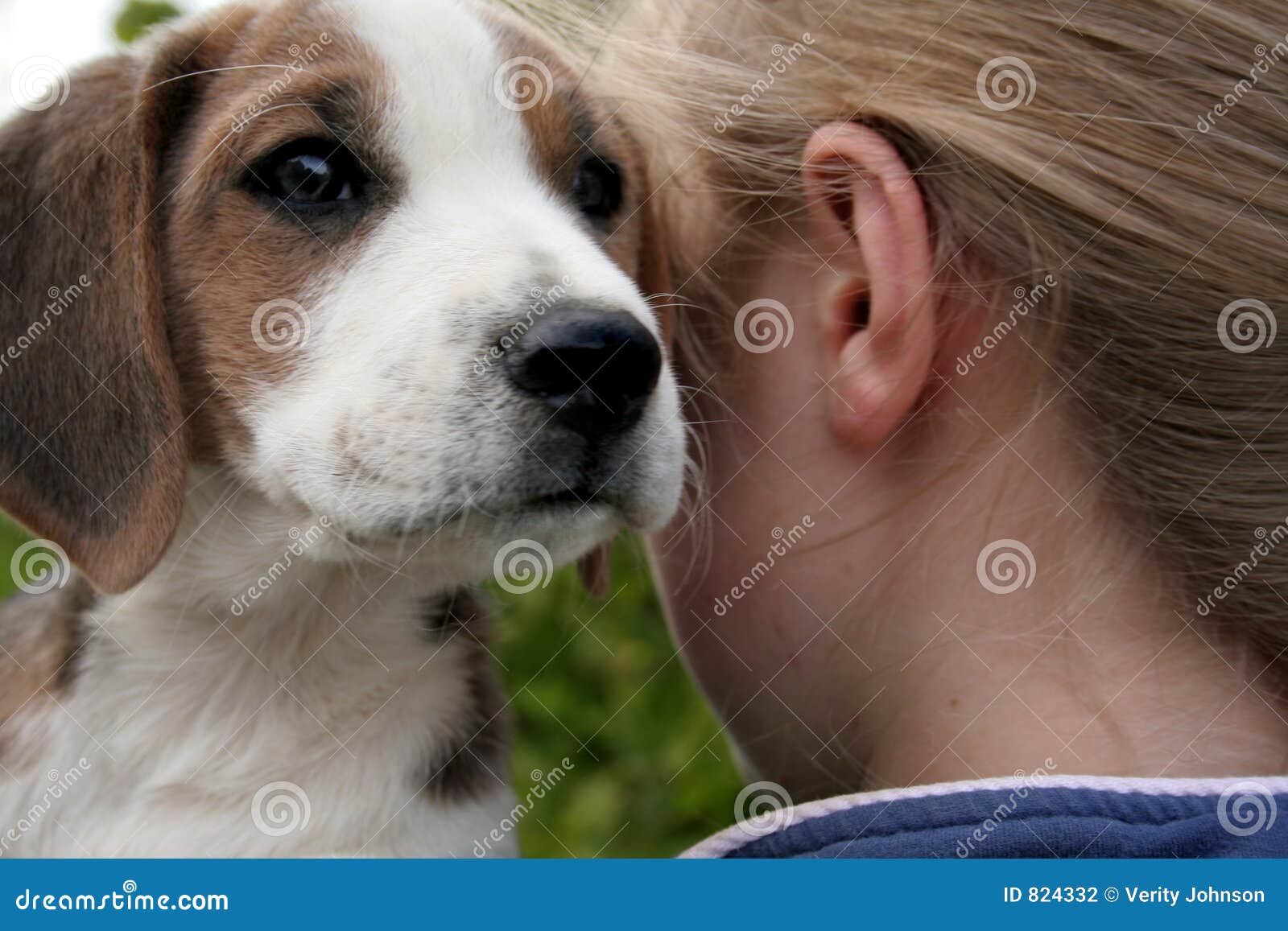 Whispering secrets stock photo. Image of outside, domestic - 824332