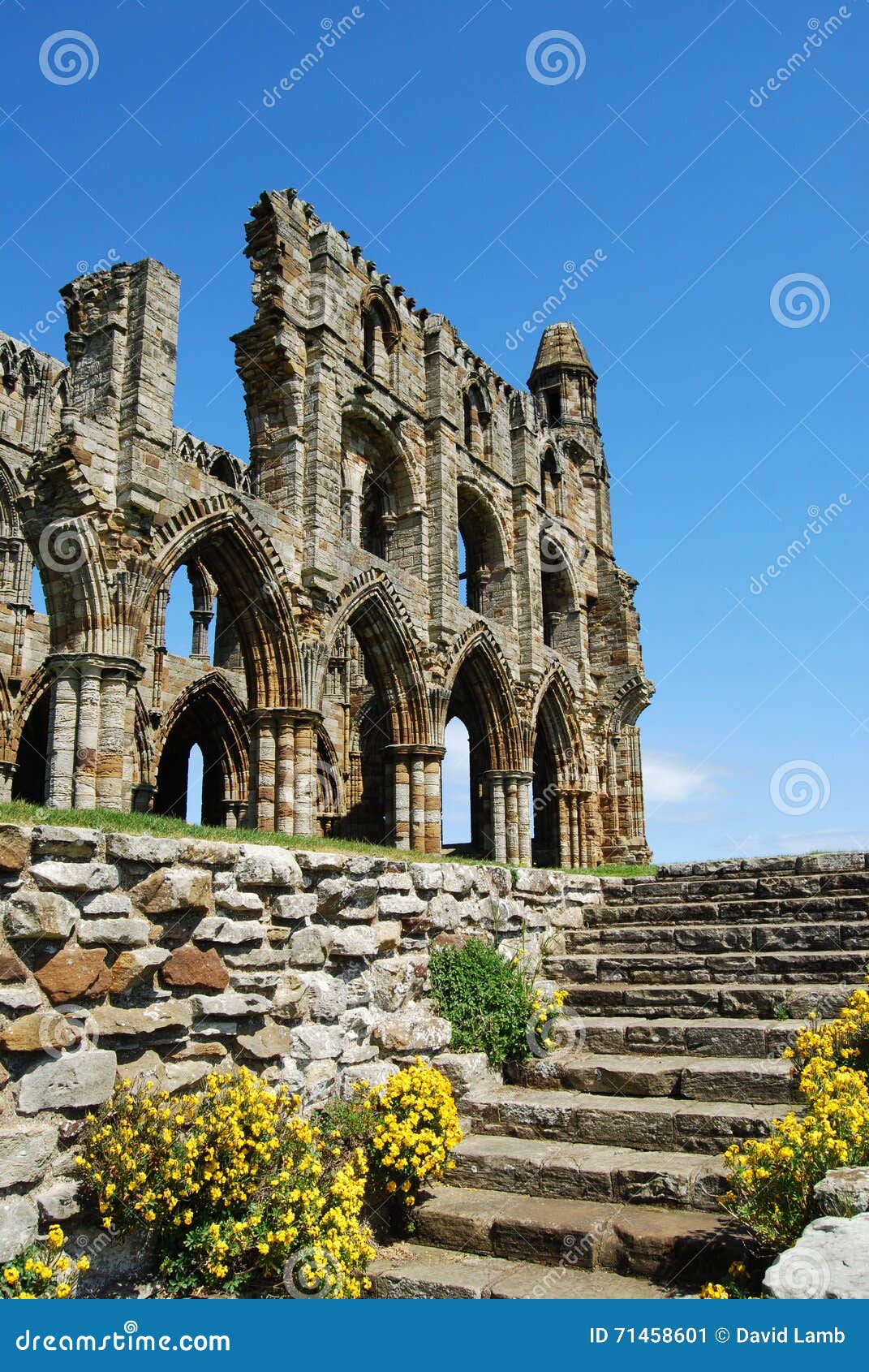 Whitby Abbey, North Yorkshire Immagine Stock - Immagine di monasteri ...