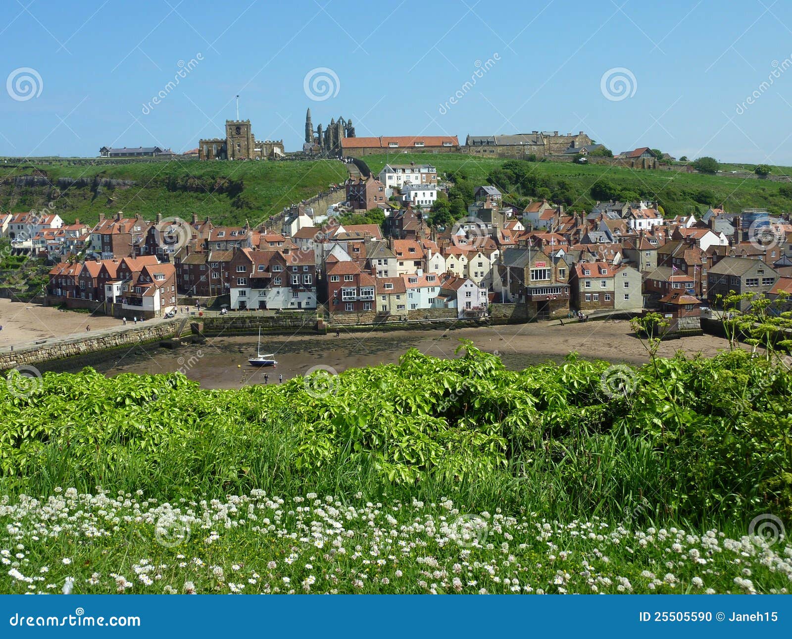 Whitby view stock photo. Image of houses, scenic, abbey - 25505590