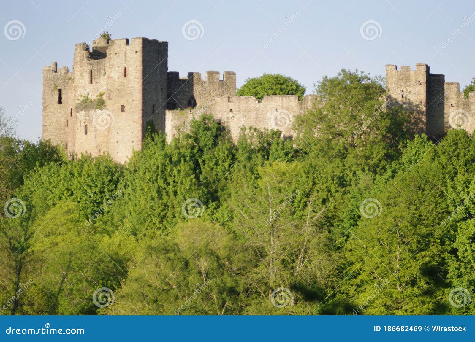 Whitcliffe Common Nature Reserve in Ludlow, UK Stock Image - Image of ...