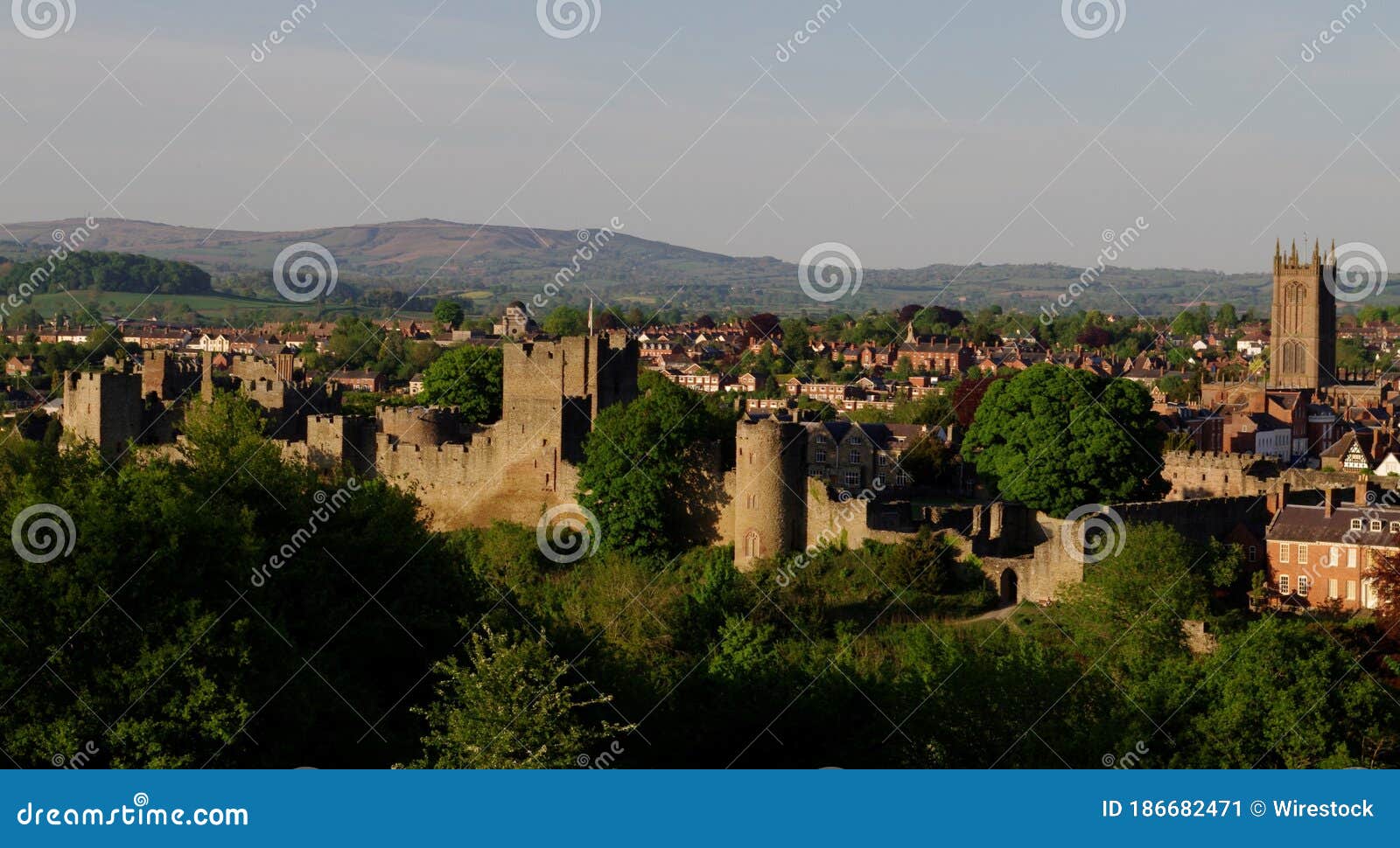 Whitcliffe Common Nature Reserve in Ludlow, UK Stock Image - Image of ...