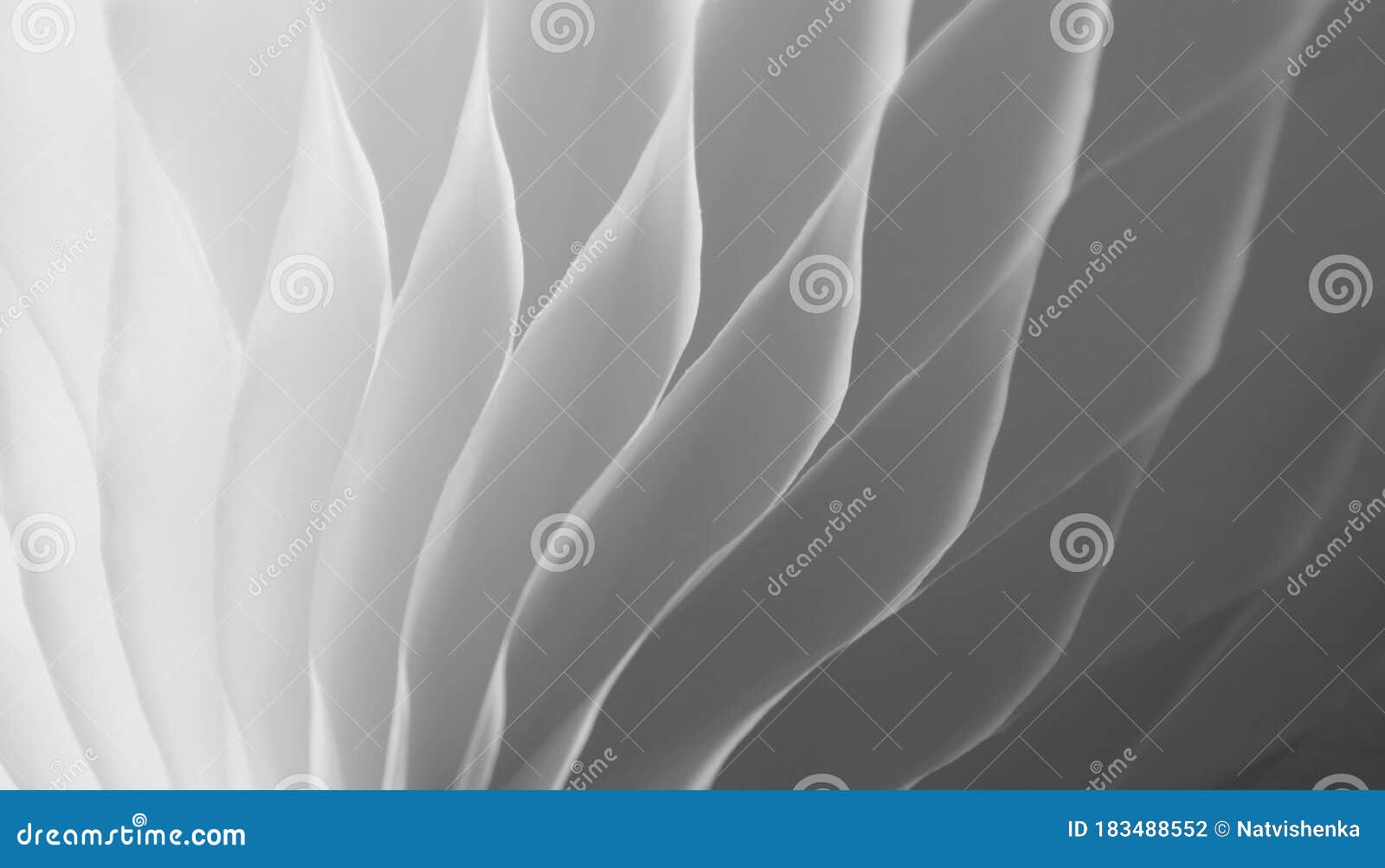 White Abstract Background with Bizarre Pattern. Soft Lines Transition ...
