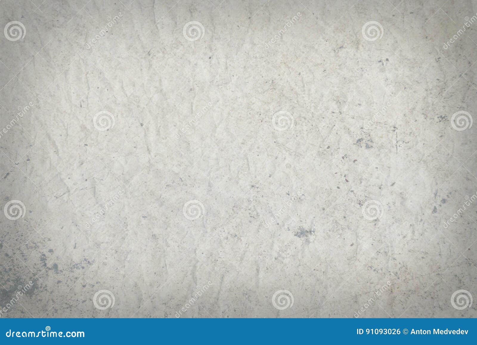 White Aged Dry Tree Texture / Background Royalty-Free Stock Photography ...