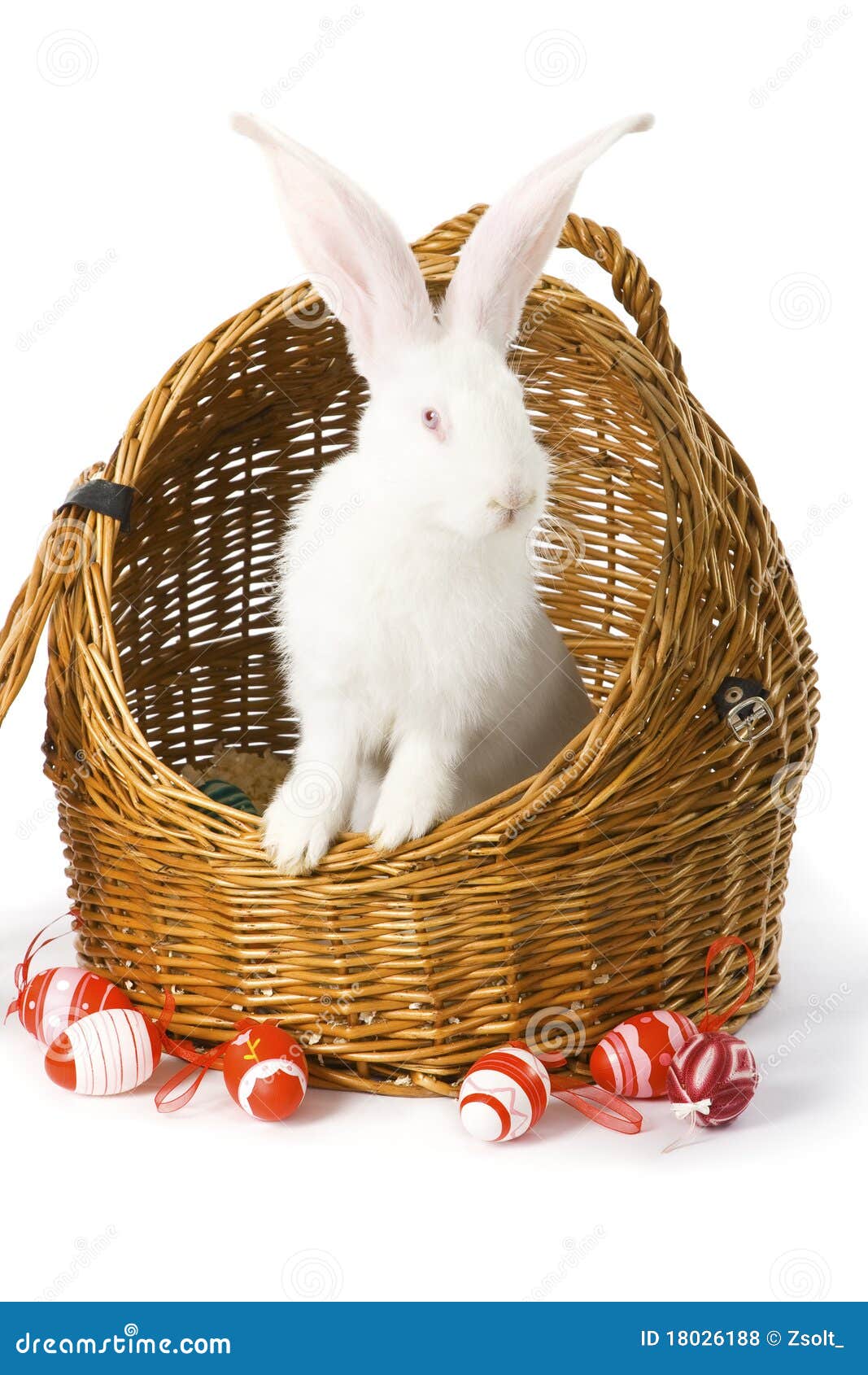 White Albino Rabbit in Basket Stock Photo - Image of small, hair: 18026188