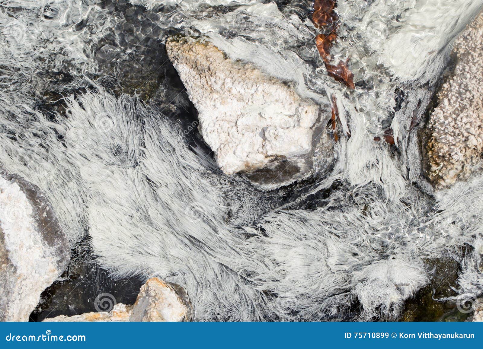 White algae stock image. Image of algae, geology, heat - 75710899