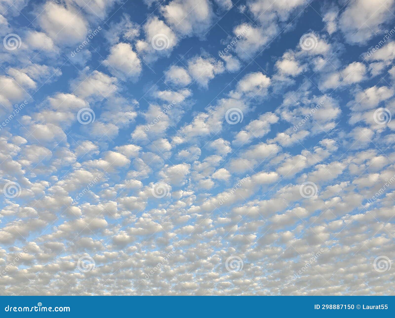 White Altocumulus Clouds Form Lines Across the Beautiful Blue Sky ...