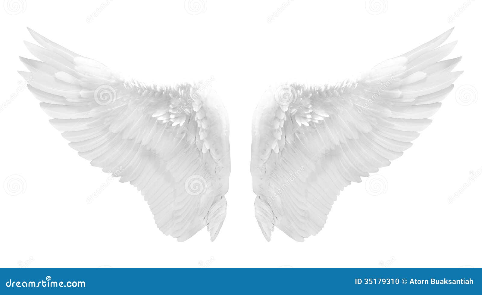 White angel wing isolated stock photo. Image of glow - 35179310