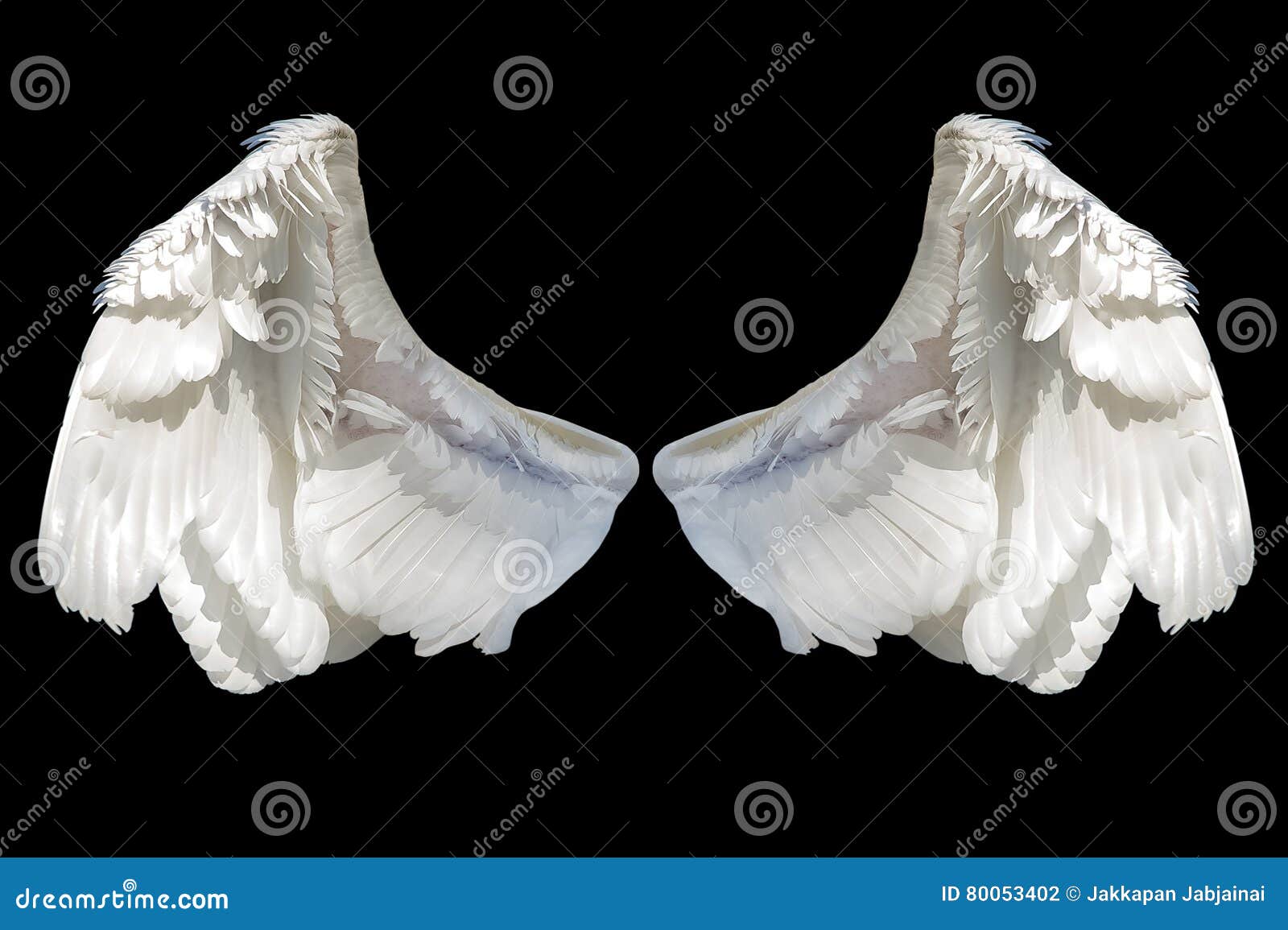 Angel Wing Waterfalls In Chiapas, Mexico Stock Photography ...